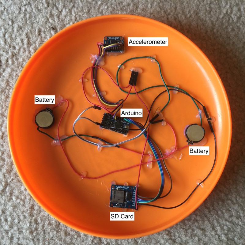 The flight of the frisbee | John R. Leeman